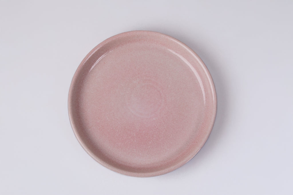 FN Mini Plate, Pink – The Food Nanny
