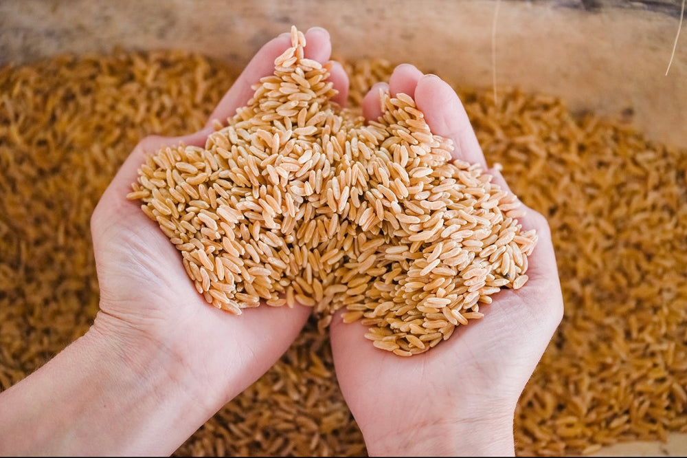 Kamut Flour – The Food Nanny